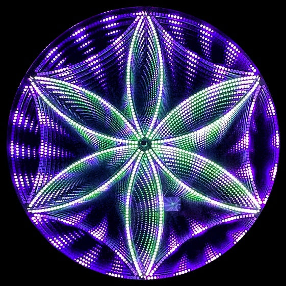 Infinite Flower - Brian Pinkham