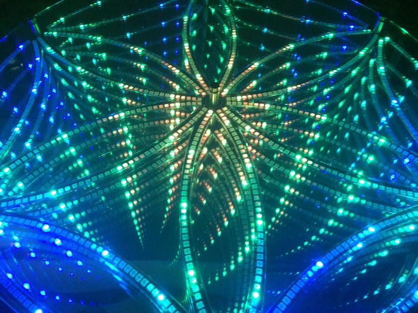 Infinite Flower - Brian Pinkham